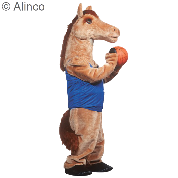 High School Mascots Mustang